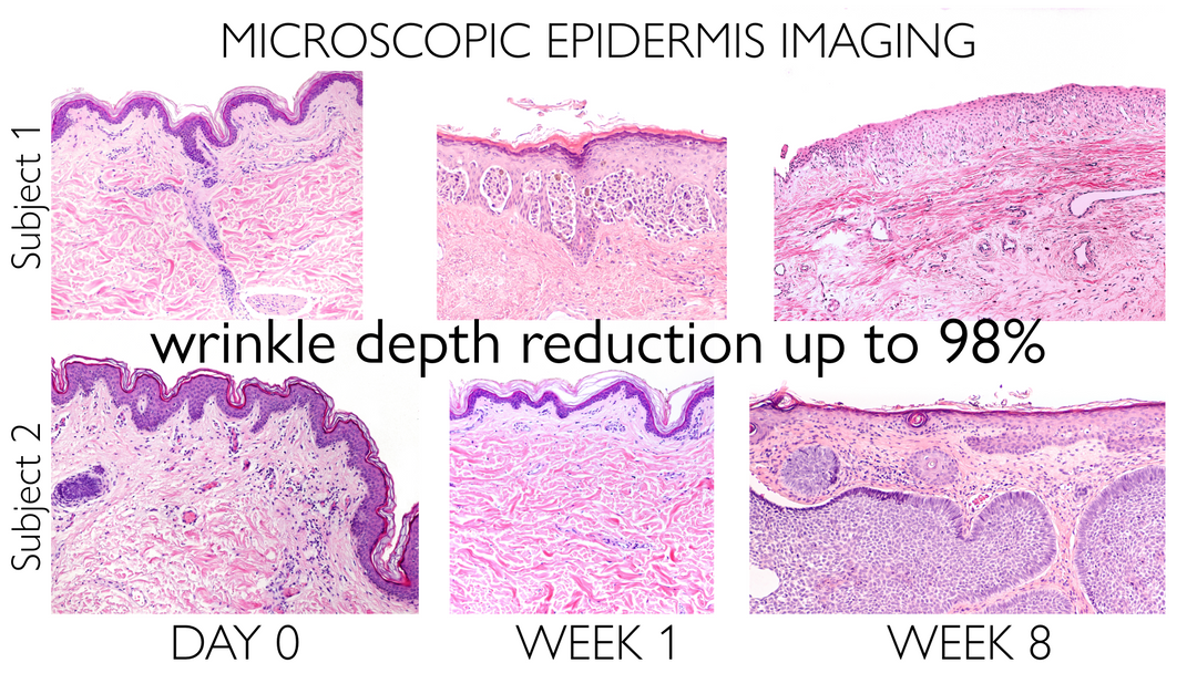 DECIEM – L(A)B=LIFE+BEAUTY